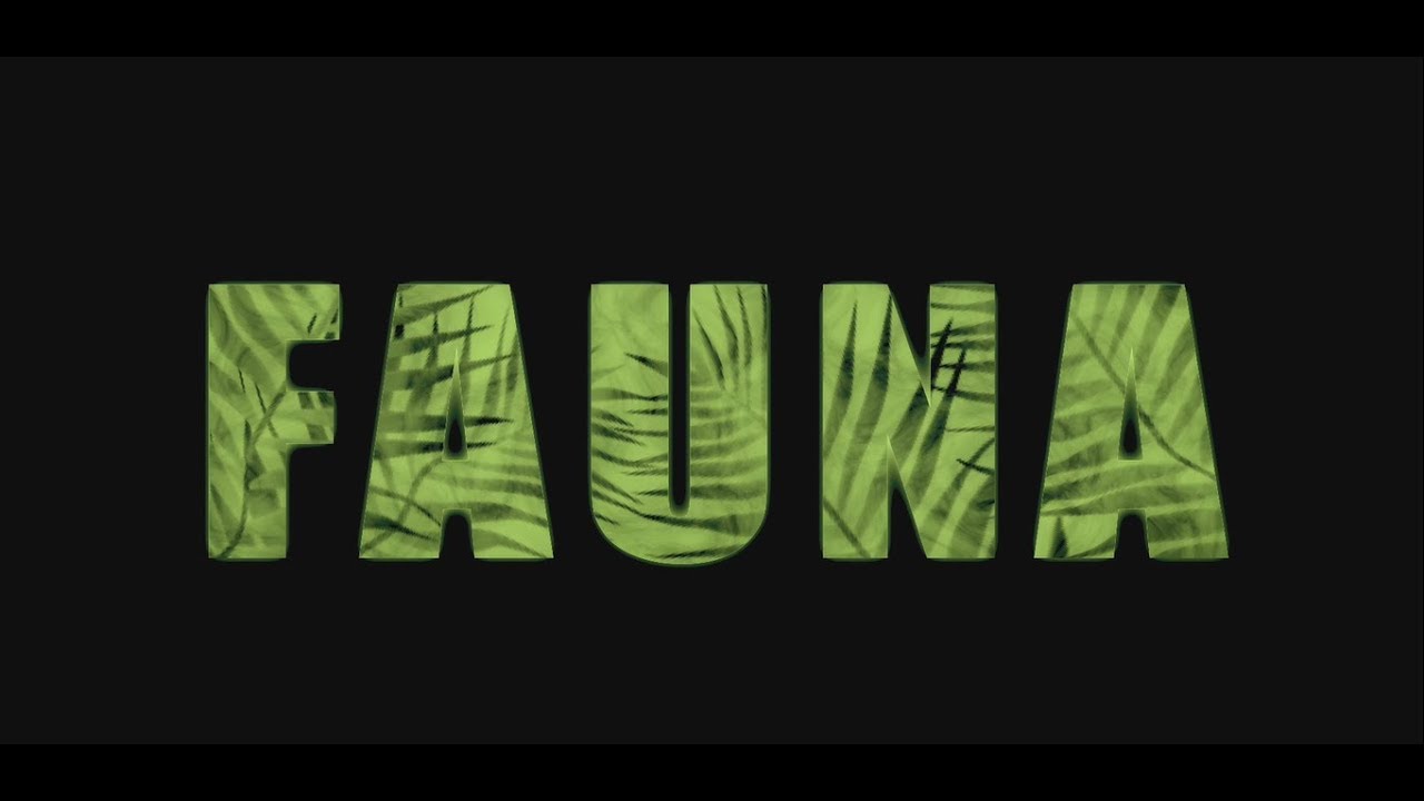 Trailer du film Fauna, Fauna Bande-annonce VO - CinéSérie