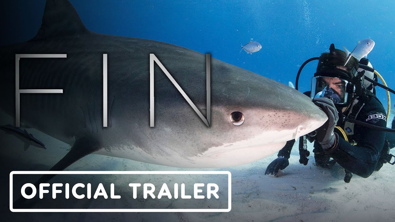 Trailer du film Fin, Fin Bande-annonce VO - CinéSérie