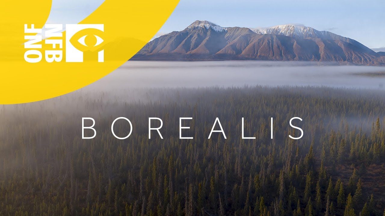 Trailer du film Borealis, Borealis Bande-annonce VO - CinéSérie