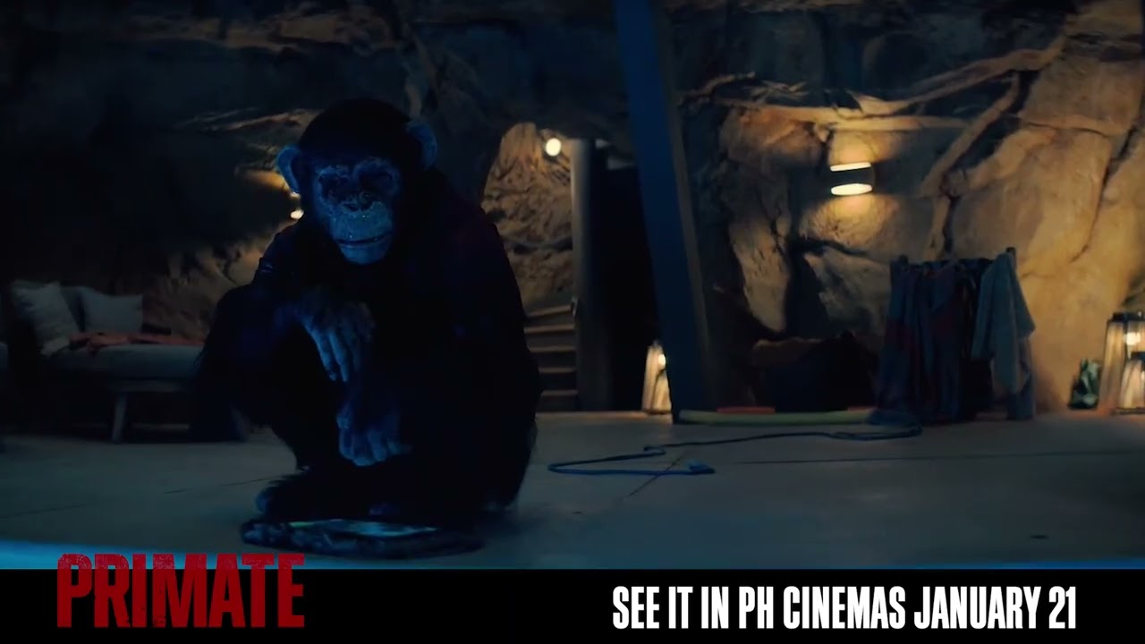 Teaser du film Primate, Primate Teaser (7) VO - CinéSérie
